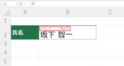 【Excel VBA】ふりがなを設定する方法（SetPhonetic）